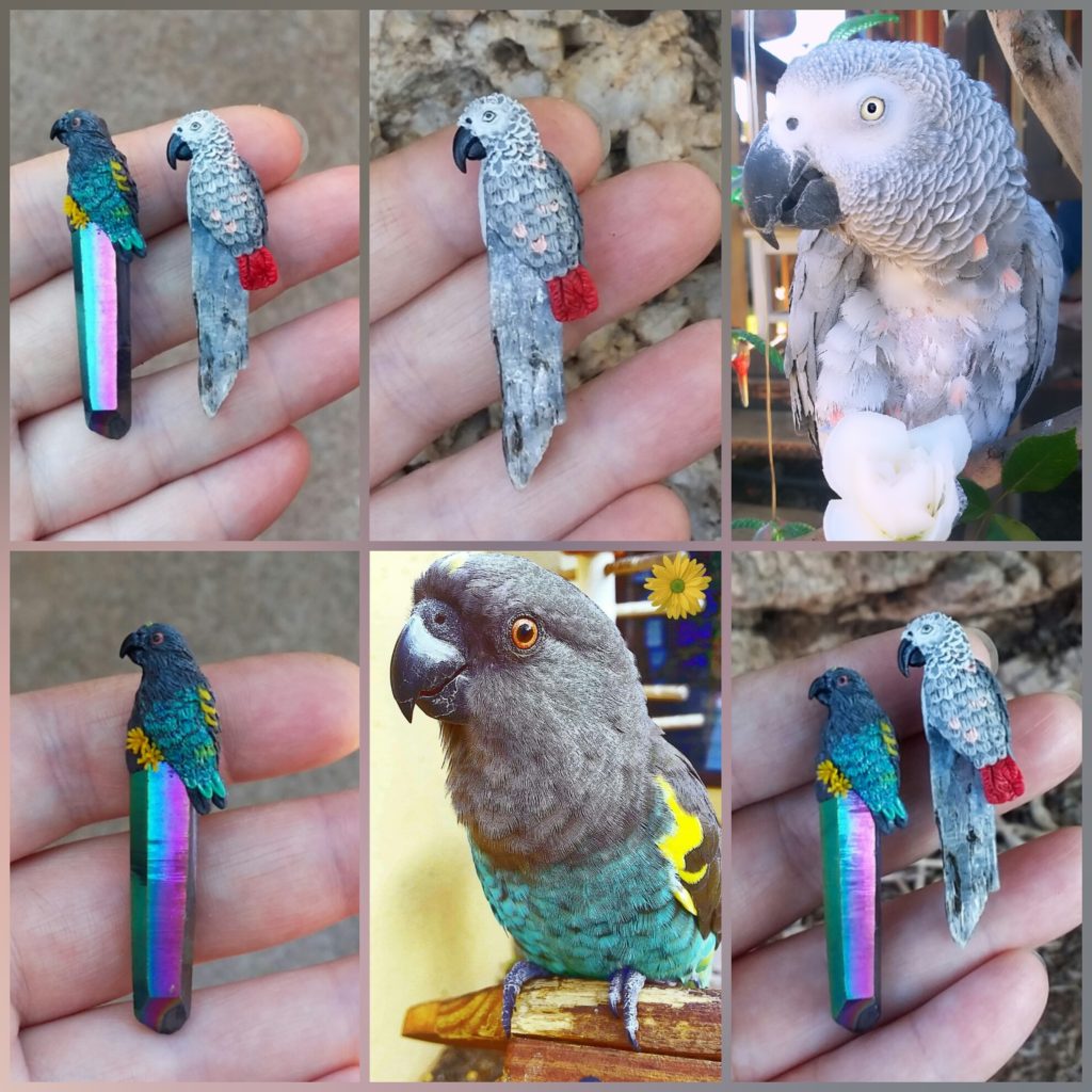 Custom Crystal Parrot - Edinkira